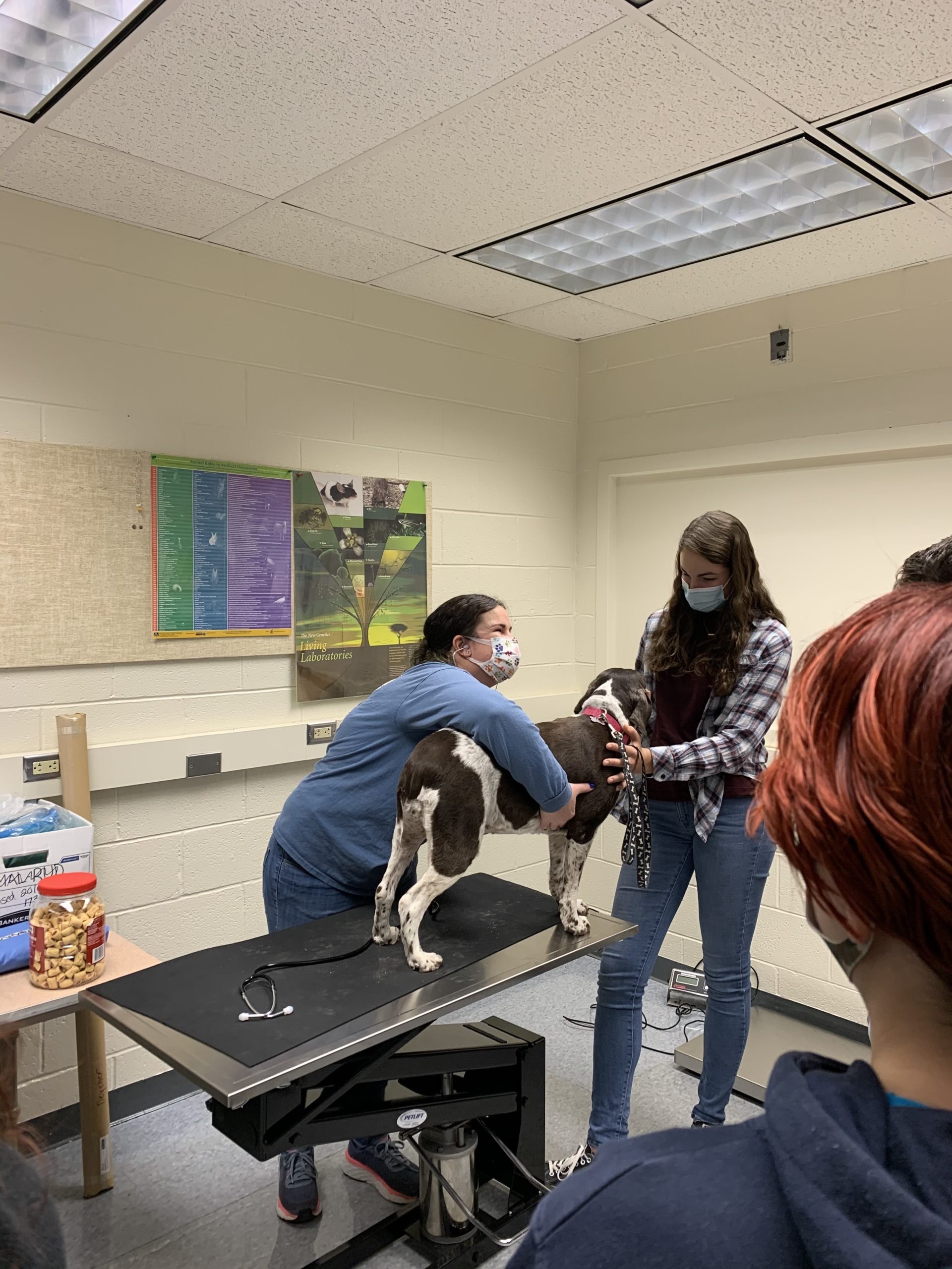 Oley Valley adds vet tech courses - Great PA Schools
