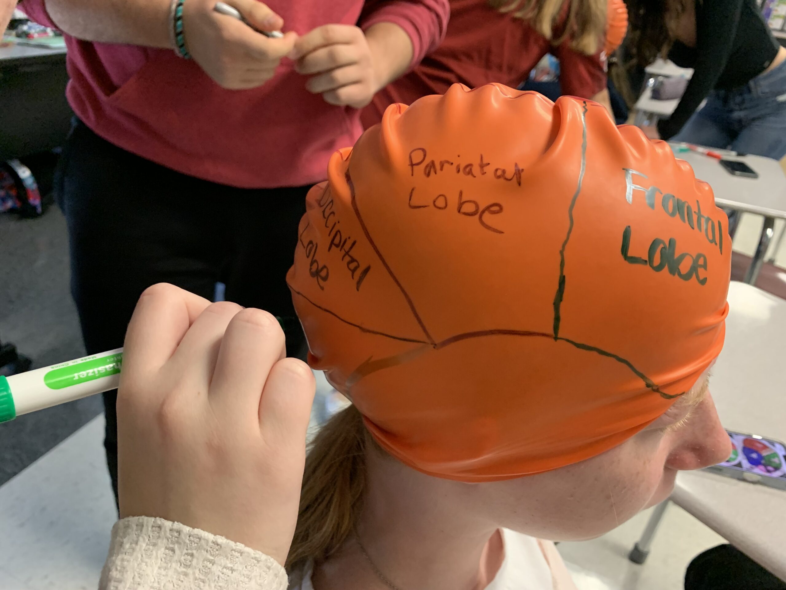 High school psych students learn about the brain in unique activity ...