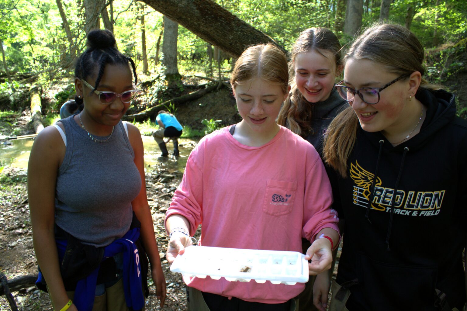 Navigating the new STEELS standards - Great PA Schools